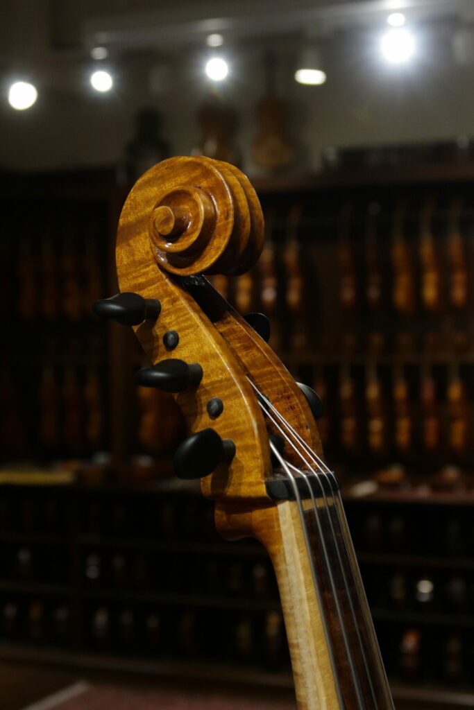 Violoncello da Spalla, by Don Rickert, made in 2020 - Brobst Violin Shop
